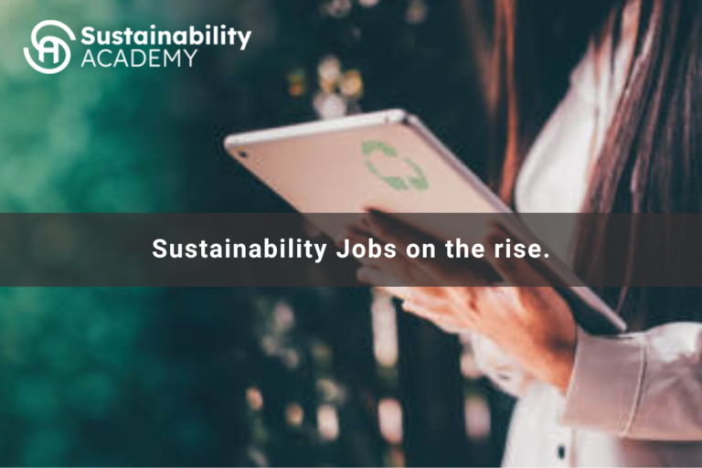 Sustainability jobs on the rise - Sustainability Academy
