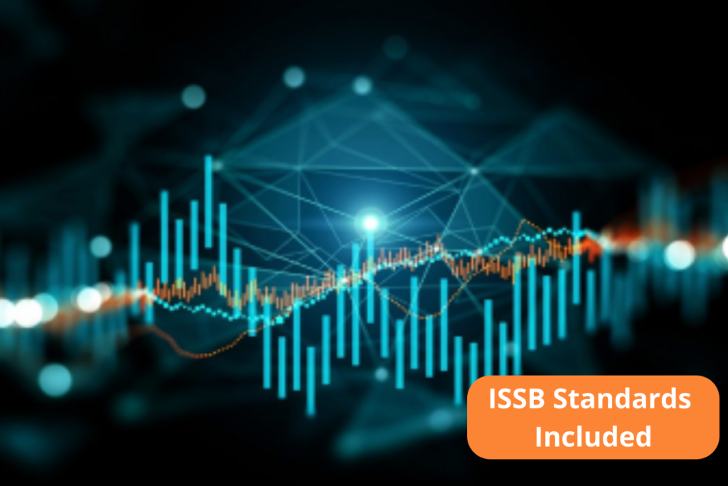 IFRS S1 and S2: 6 Steps for Strategic Implementation