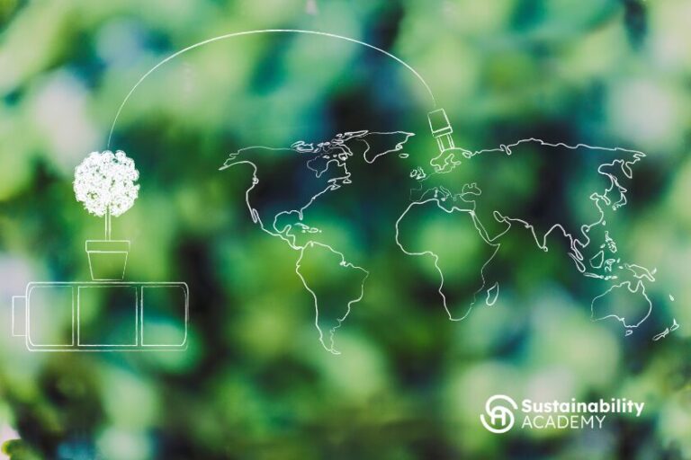 How your company can drive the green transition ? - Sustainability Academy