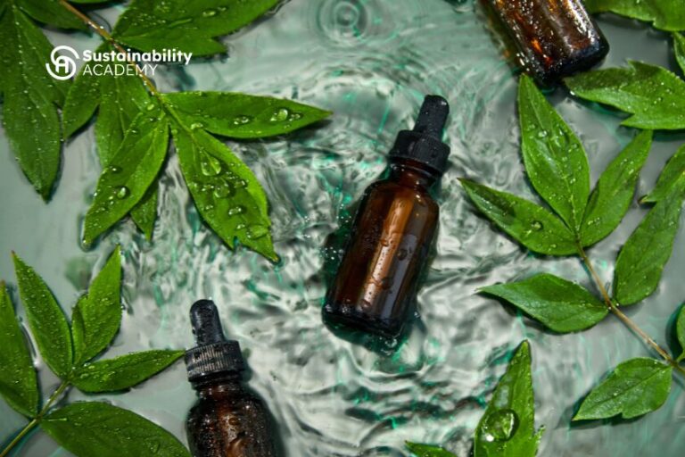 Is Greenwashing in Cosmetics Ending with New EU Rules? - Sustainability ...
