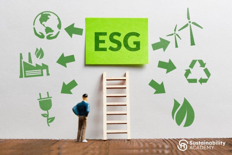 Top 8 ESG Regulations and Frameworks in 2025